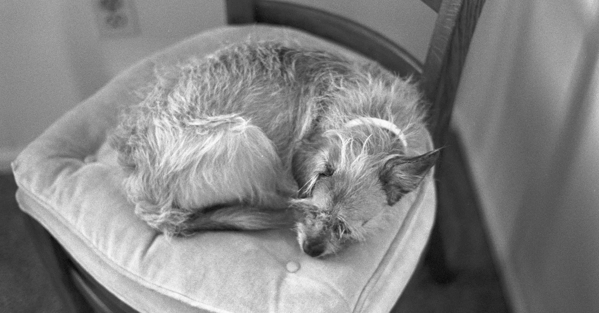 Photography Class Images From the Past – Greyscale Zone